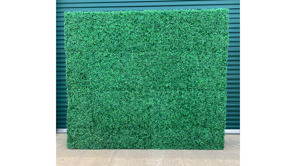 8x8 Boxwood Wall – Manifest Event Rentals
